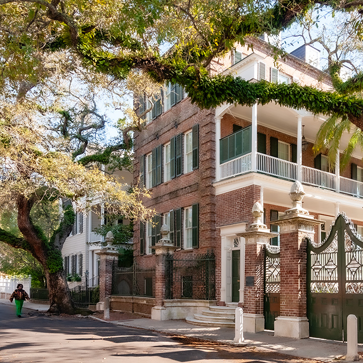 The Grand Lie of Urban Forestry